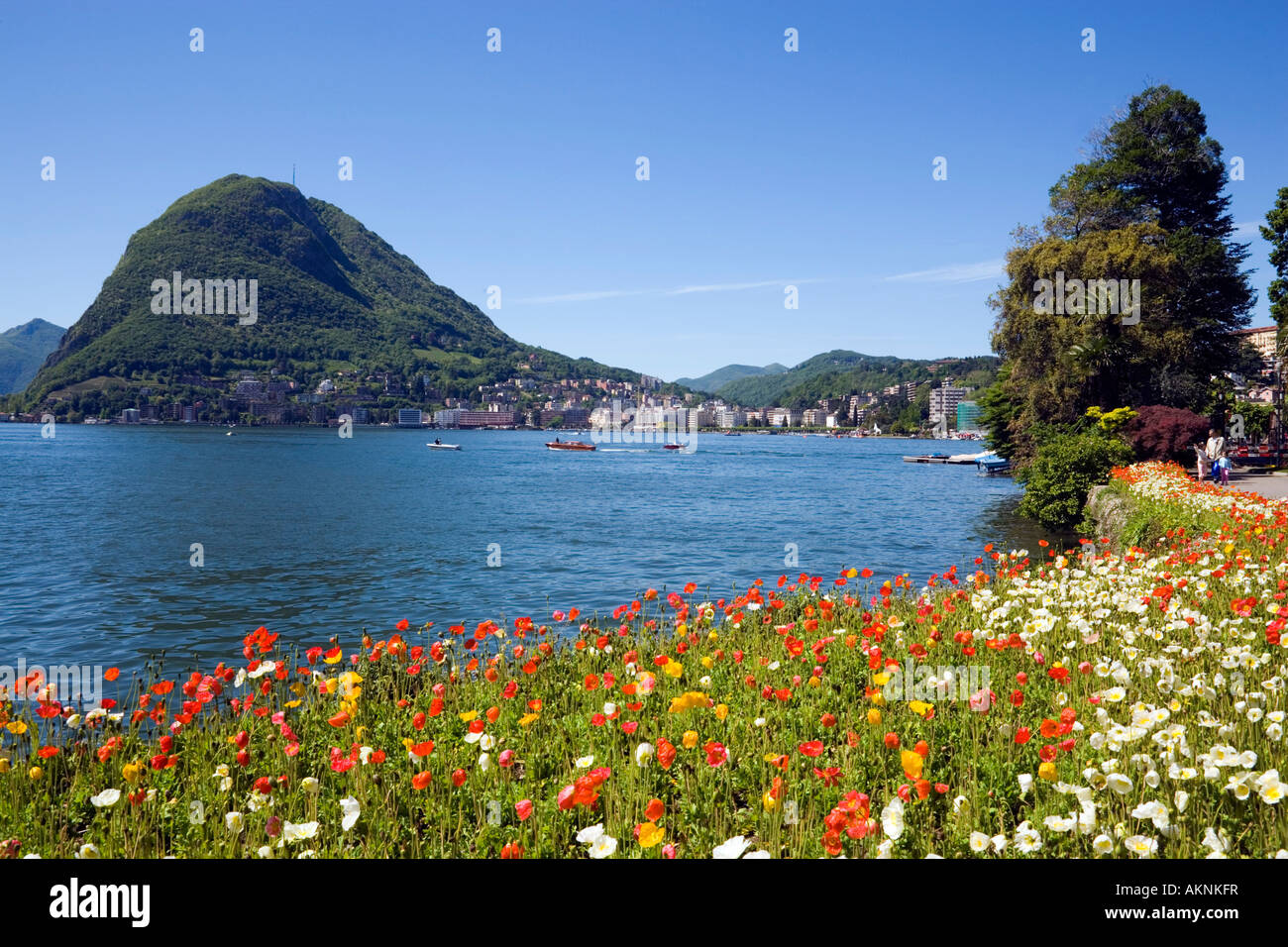 Parco civico hi-res stock photography and images - Alamy
