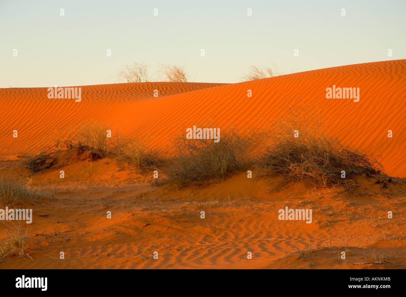 Drifting dune hi-res stock photography and images - Alamy