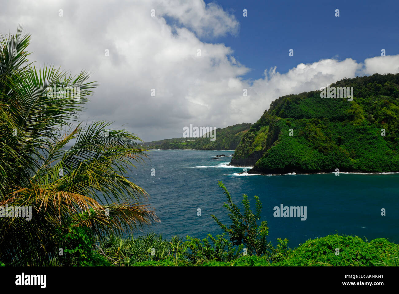 Honomanu Bay with palm trees and steep coast on the road to Hana on ...