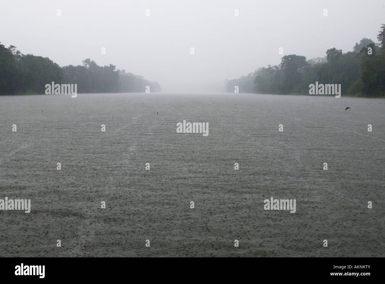Mamiraua Ecological Reserve, Tropical rain storm, NOVEMBER Amazon ...