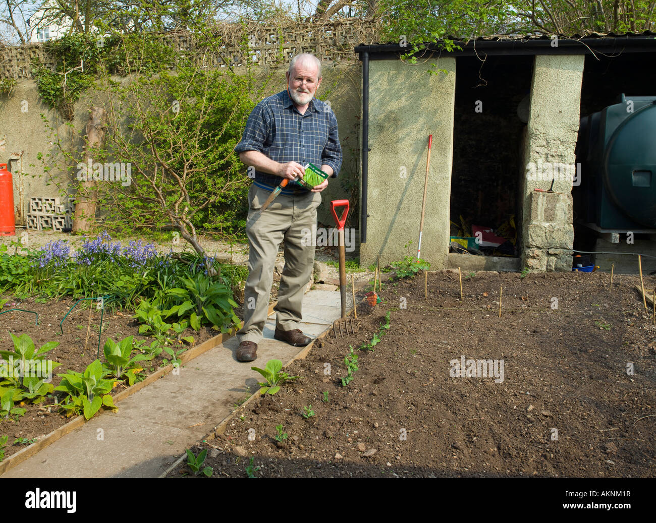 MAN IN GARDEN PLANTING SEEDS Stock Photo - Alamy