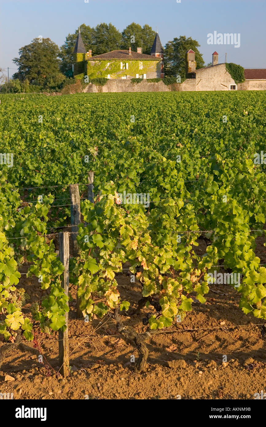 Sauternes barsac hi-res stock photography and images - Alamy