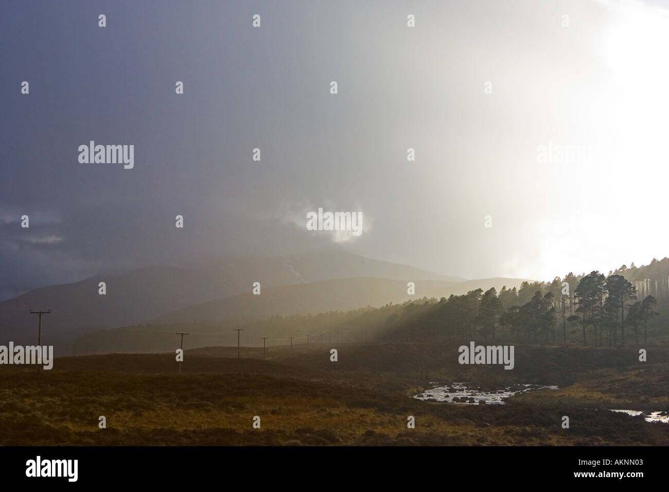 River Muick High Resolution Stock Photography and Images - Alamy