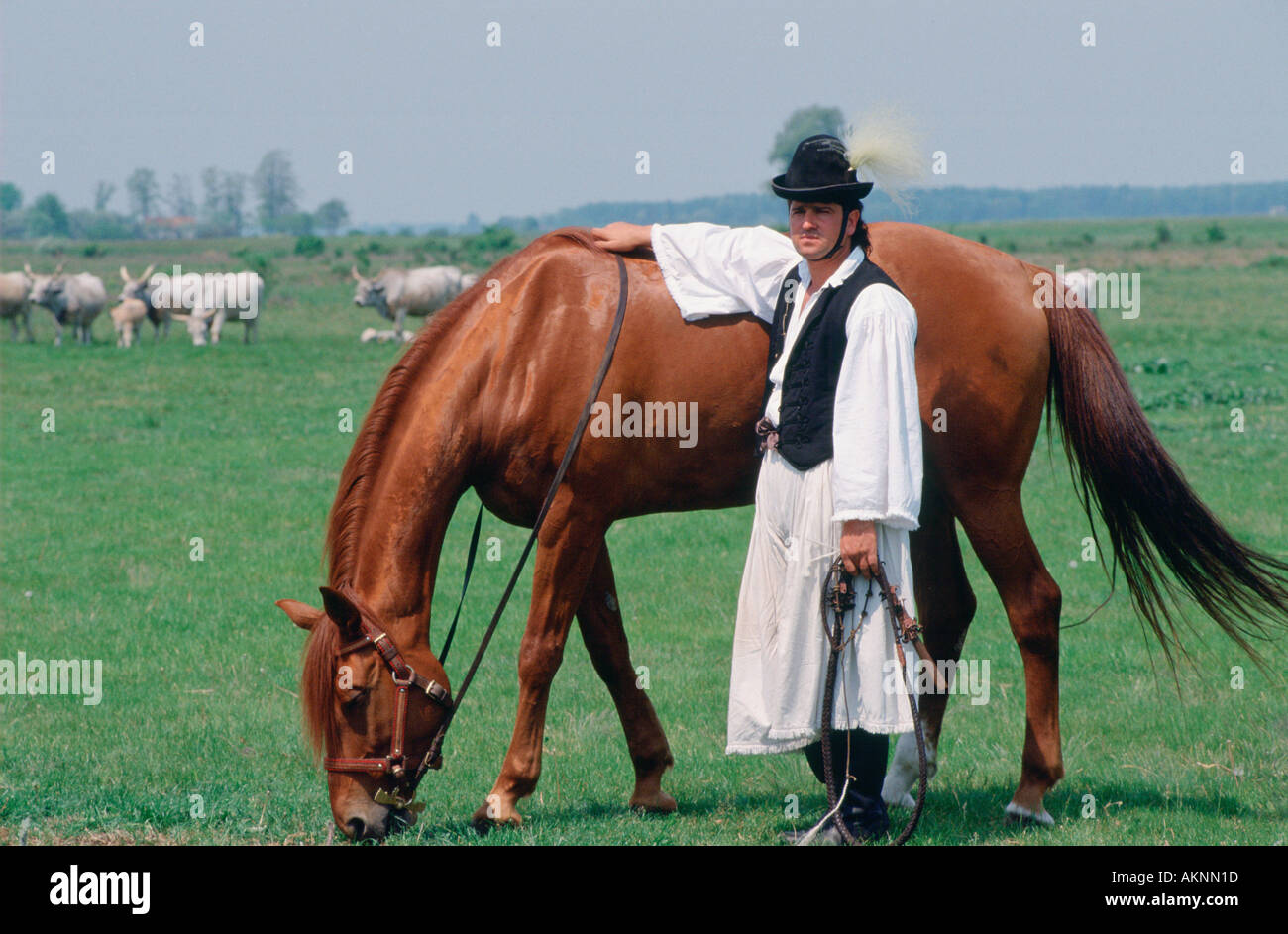 Traditional Csikos Cowboy with his horse on the Great Hungarian Plains ...