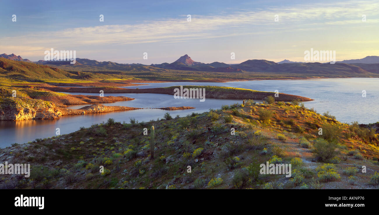 Sunrise at Alamo Lake in the Rawhide Mountain Wilderness Arizona ...