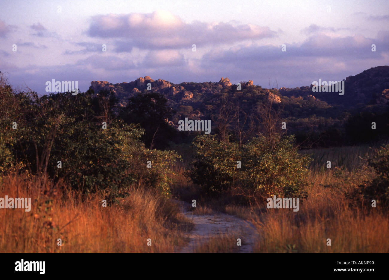 Granite koppies hi-res stock photography and images - Alamy