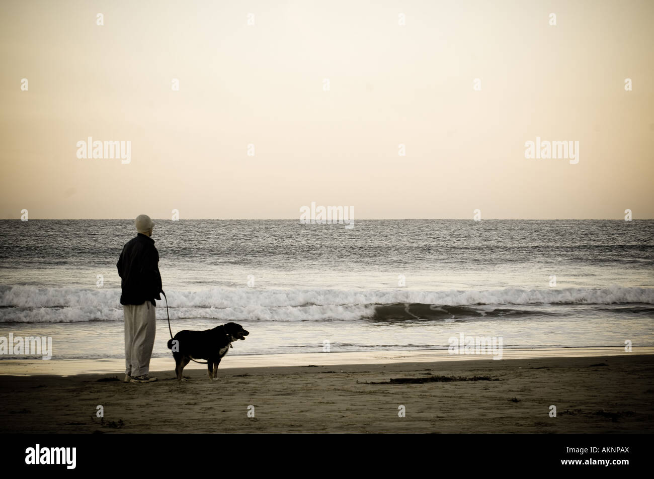 Man gazing out to sea Stock Photo - Alamy