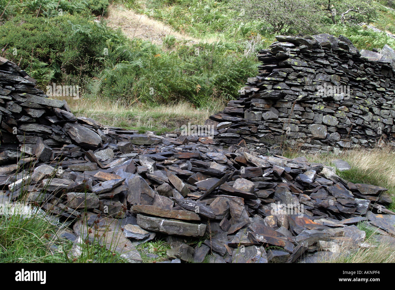 a collapsed dry stone wall in cumbria Stock Photo - Alamy
