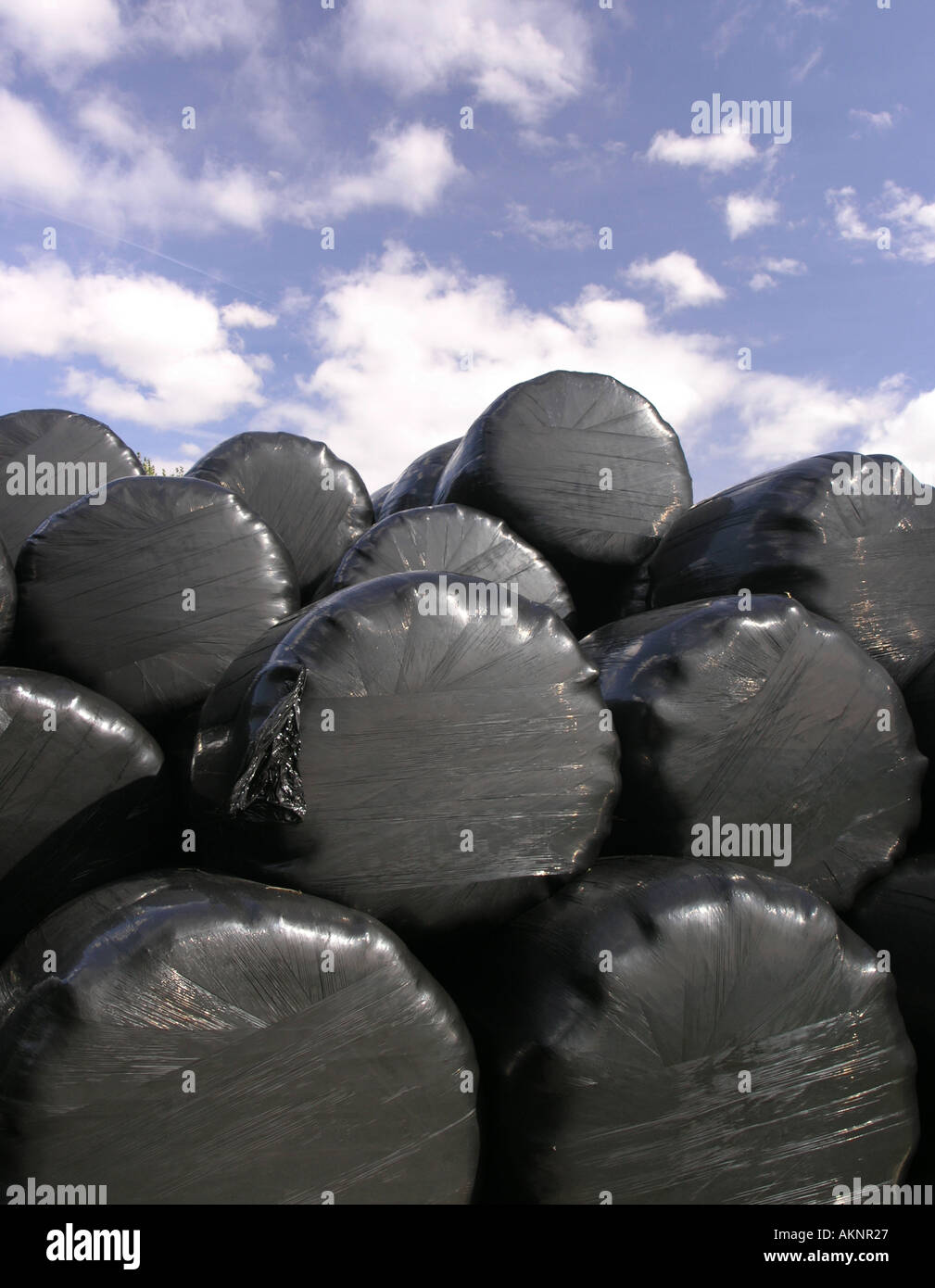 Black hay bales hi-res stock photography and images - Alamy