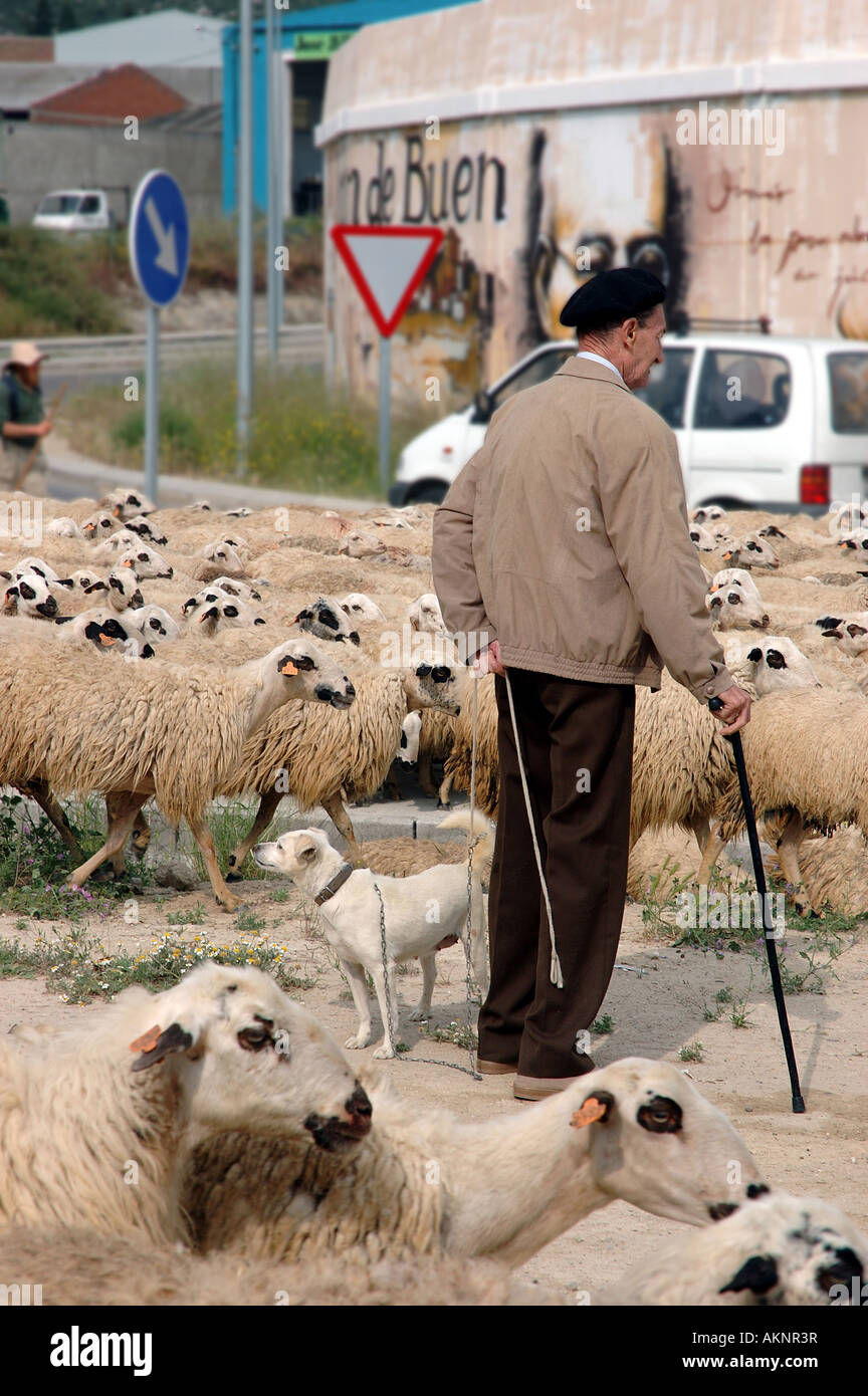 A village dog faces up to waht must appear to be its worst nightmare ...