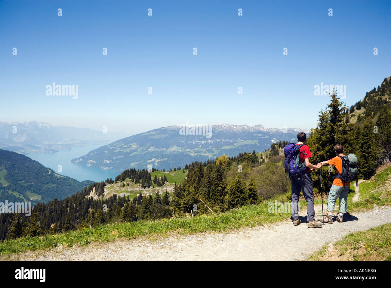 Hikers enjoying view from Schynige Platte Lake Thun Interlaken Bernese ...