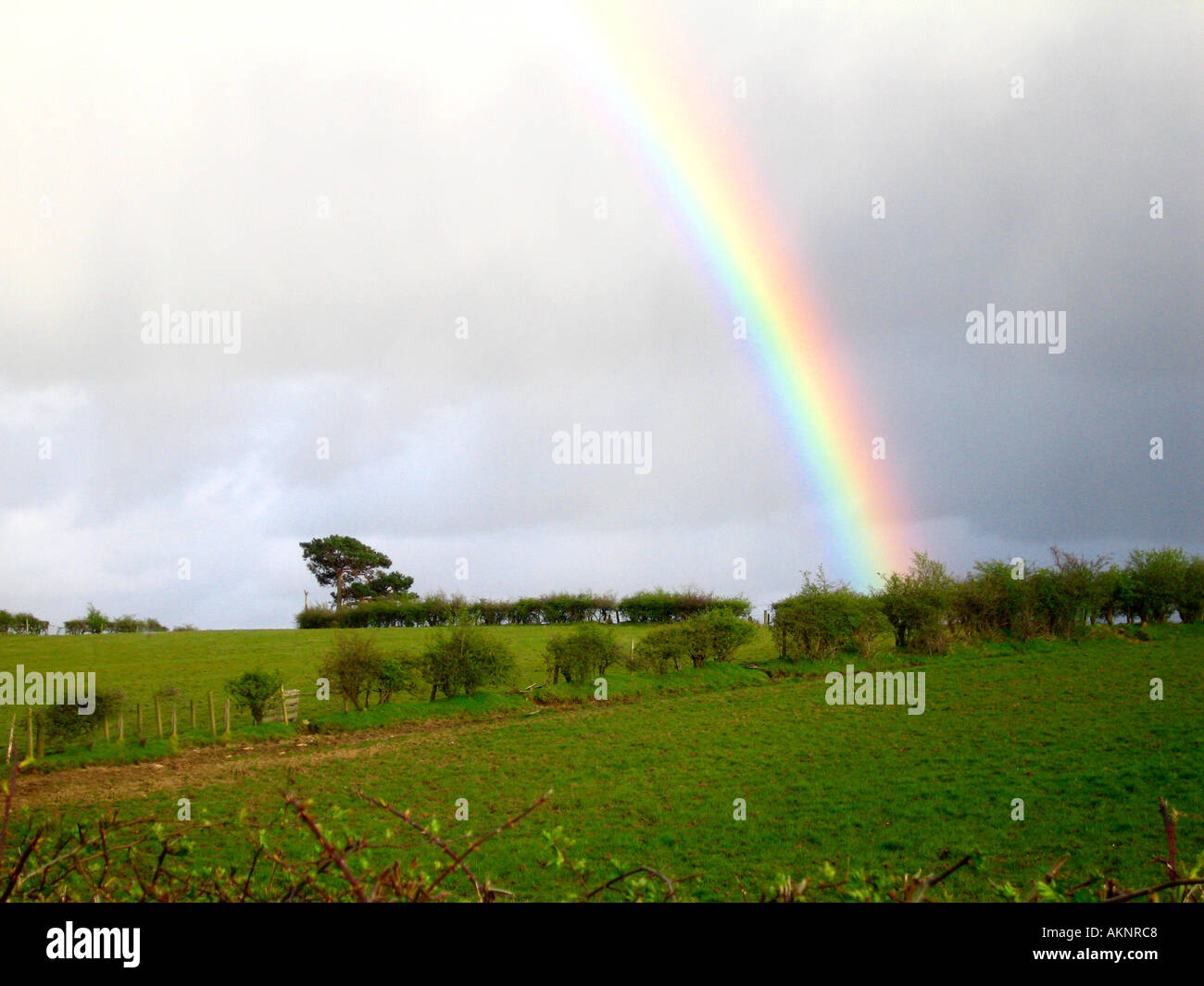 Seven colours in the rainbow hi-res stock photography and images - Alamy