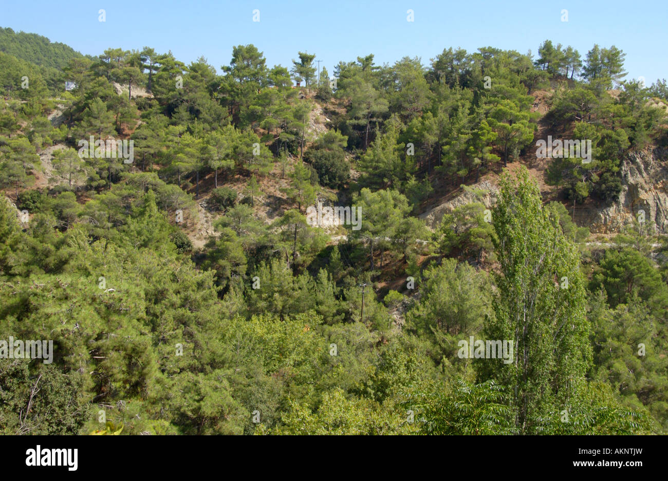 Game reserve area in Platres on southern slope of the Troodos Mountains ...