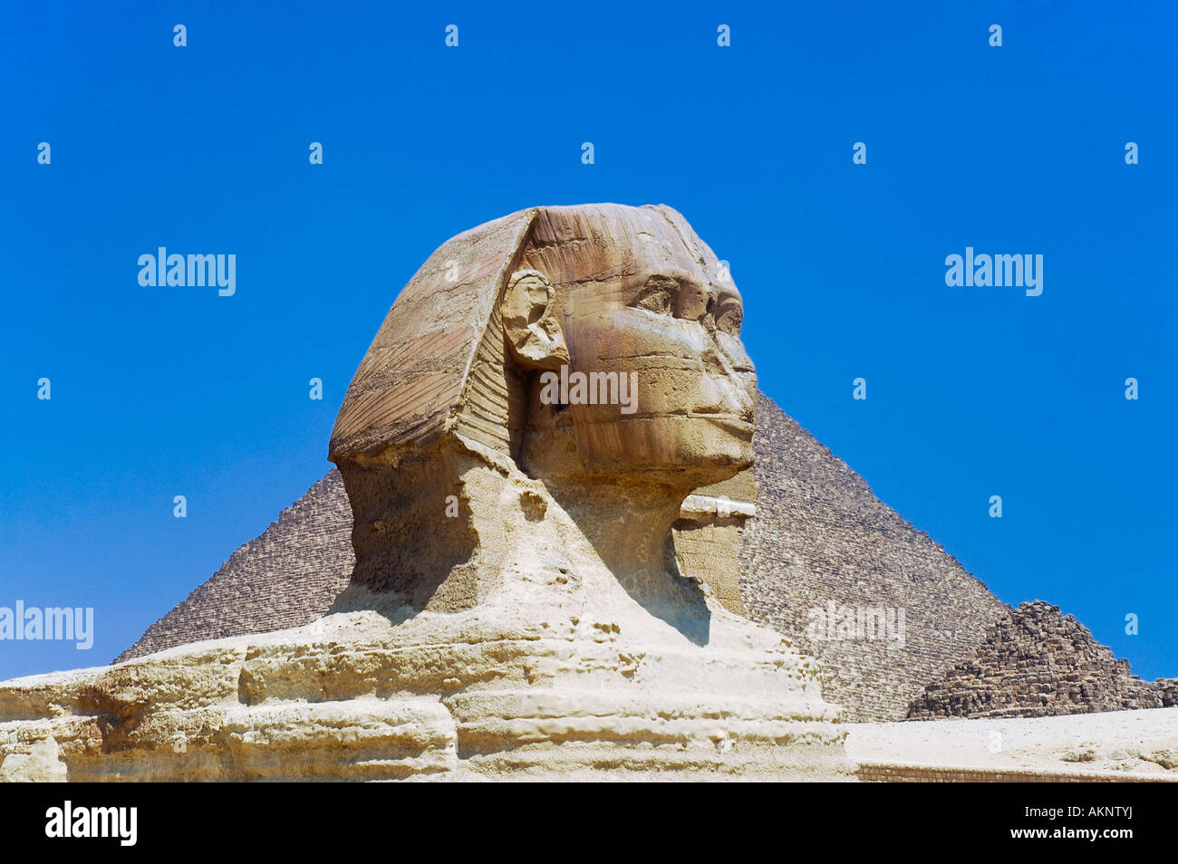 Great sphinx giza paws hi-res stock photography and images - Alamy