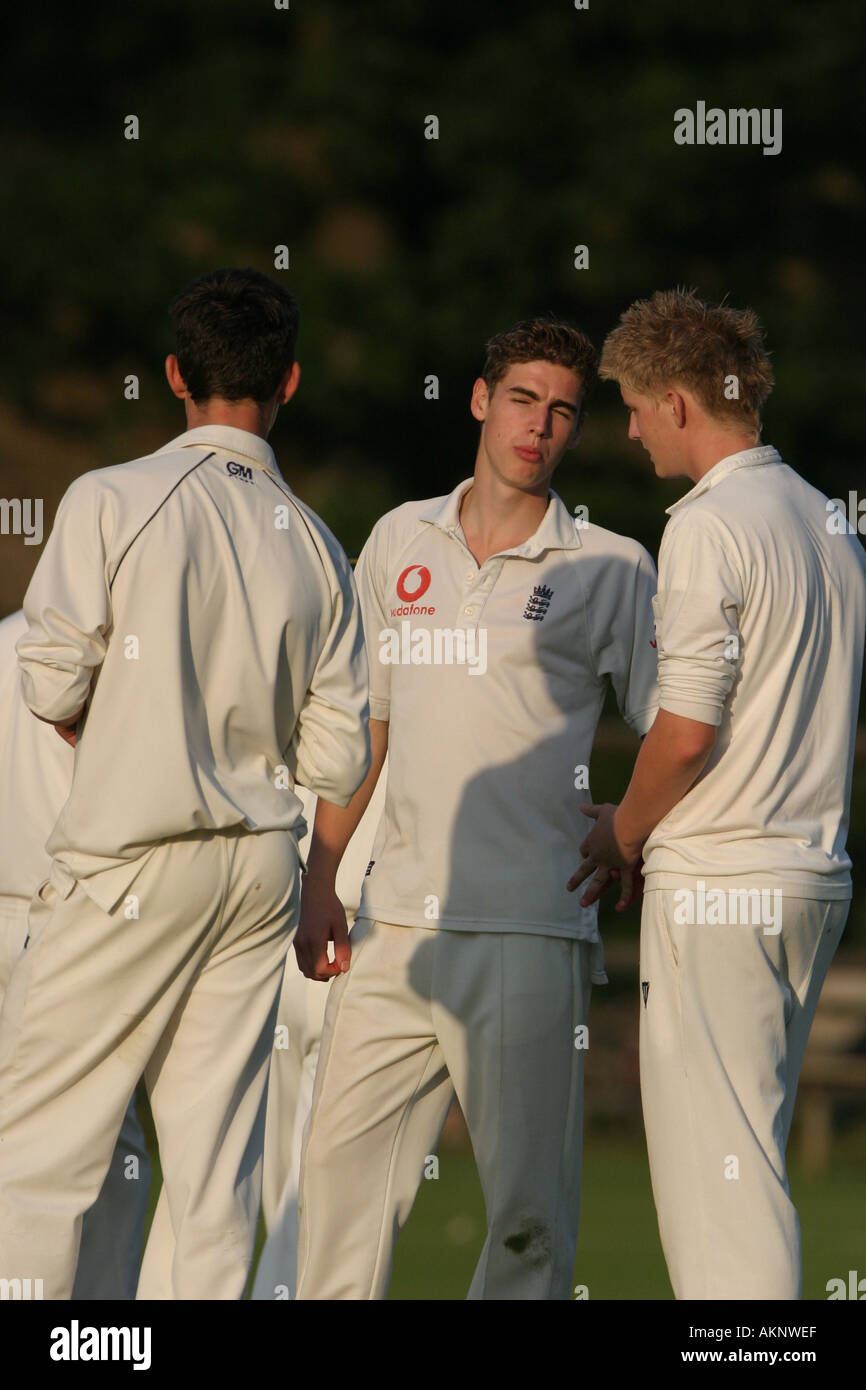 fielder's together after getting a batsman out Stock Photo - Alamy