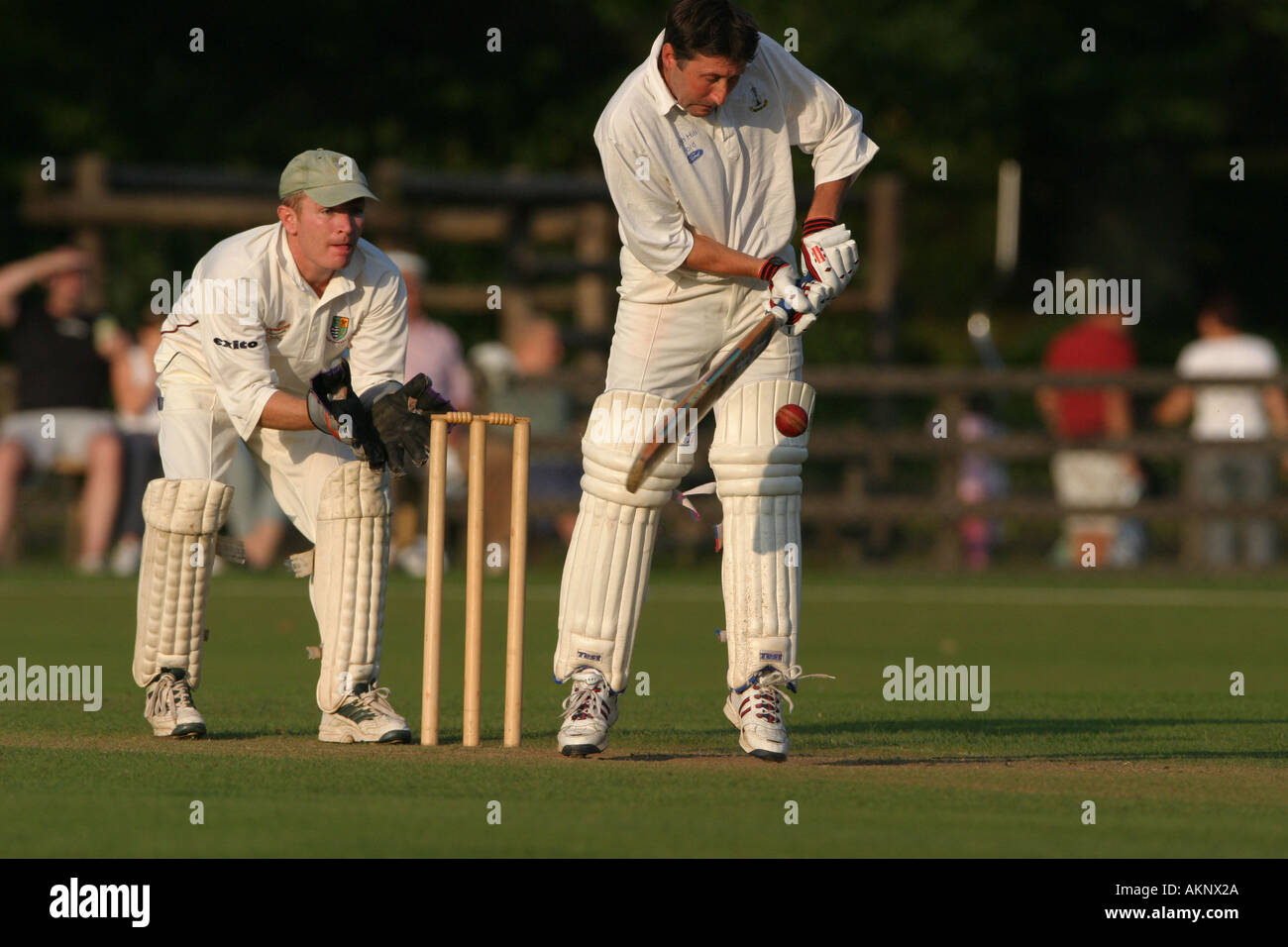 Cricket action batting bats hi-res stock photography and images - Alamy