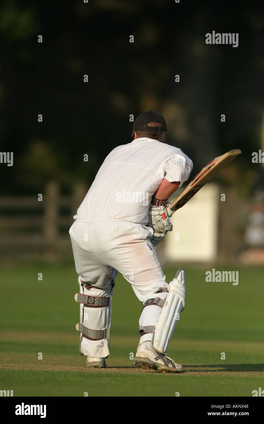 Cricket stumps batsman hi-res stock photography and images - Alamy