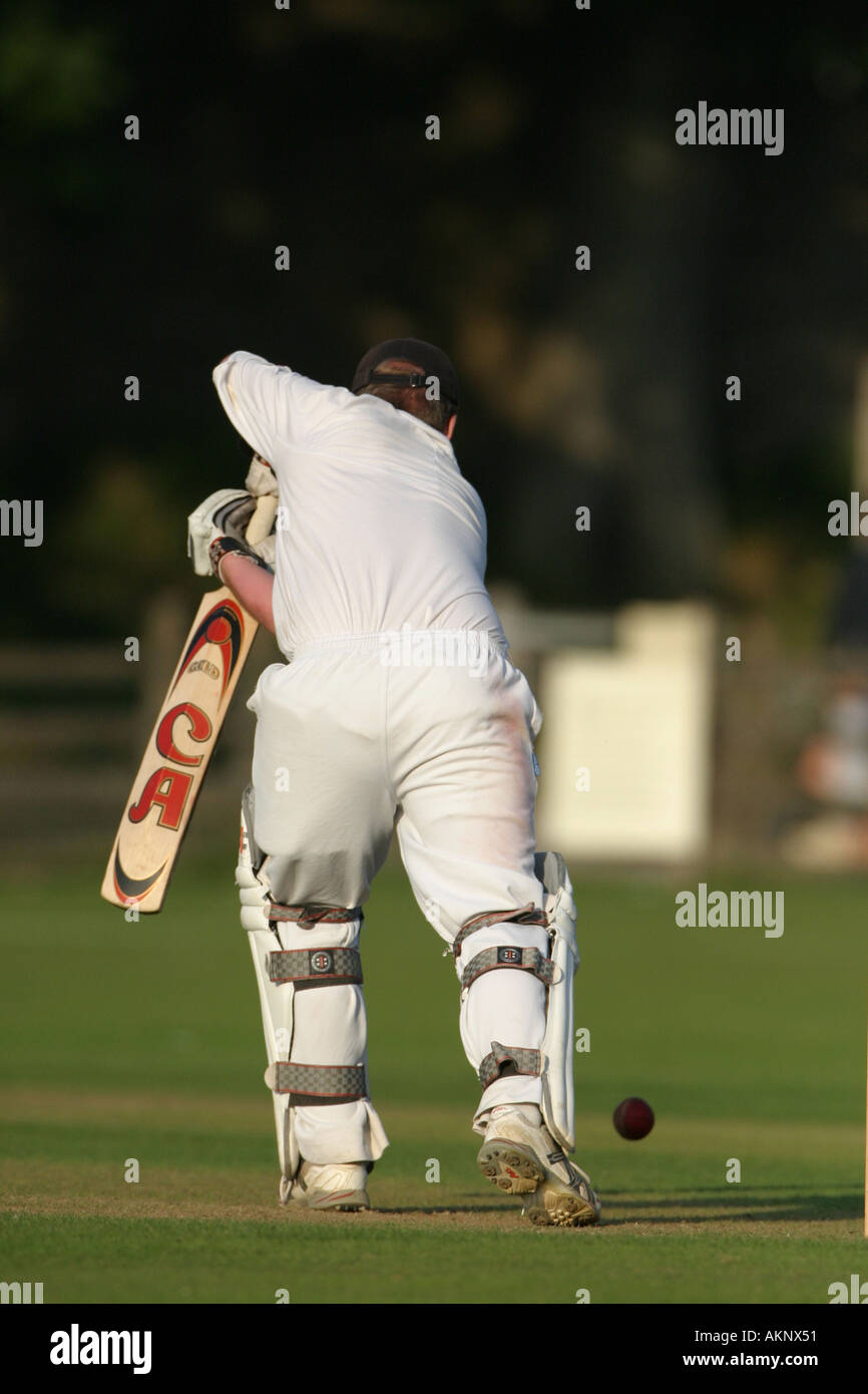 batsman in cricket Stock Photo - Alamy