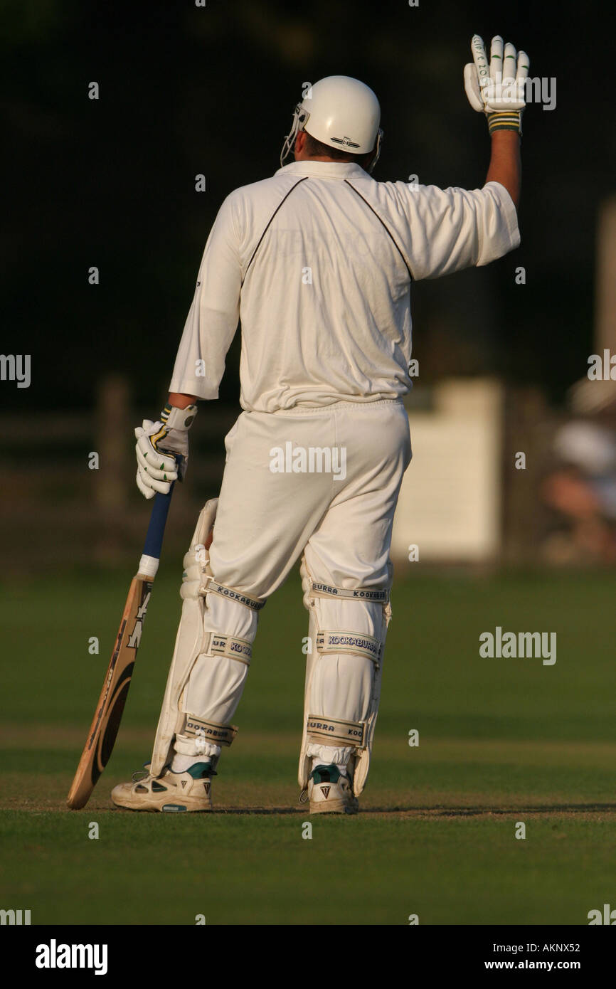 batsman in cricket Stock Photo - Alamy