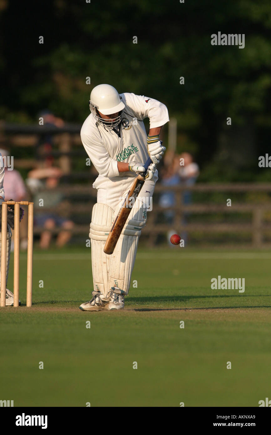 batsman defending a cricket ball Stock Photo - Alamy