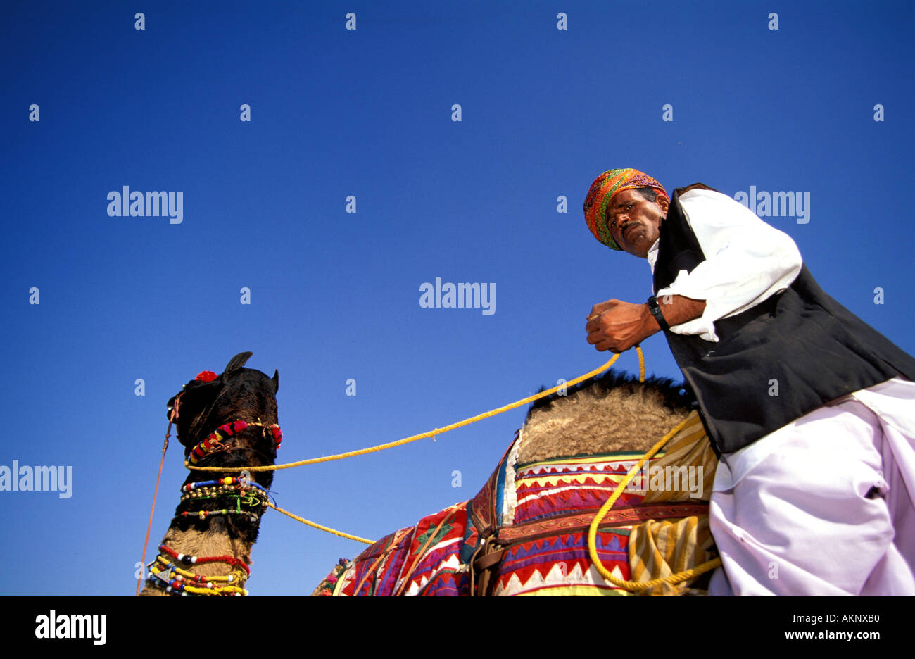 India019 hi-res stock photography and images - Alamy