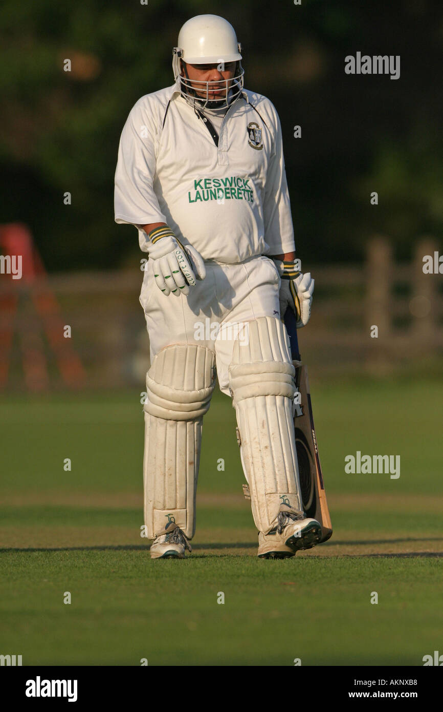 Batsman at crease hi-res stock photography and images - Alamy