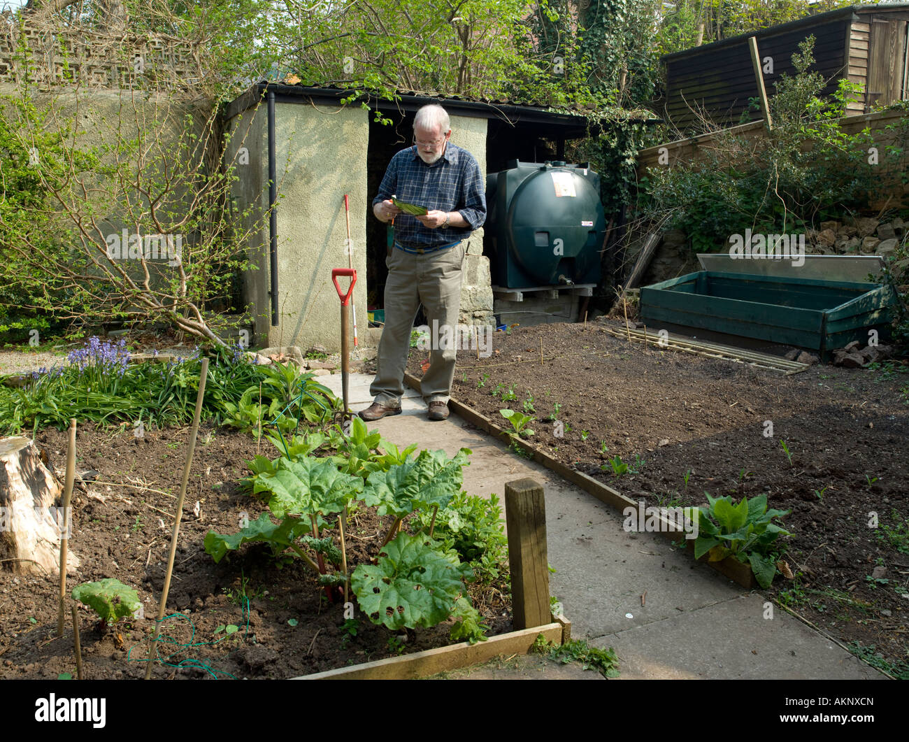 MAN IN GARDEN PLANTING SEEDS Stock Photo - Alamy