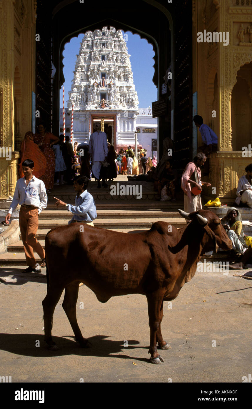 India039 hi-res stock photography and images - Alamy