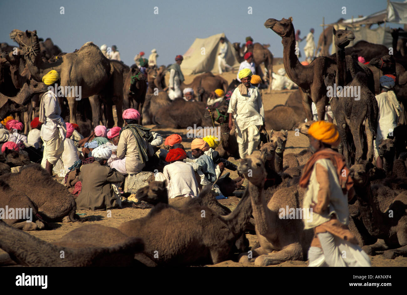 Crowd of indian people at pushkar fair hi-res stock photography and ...