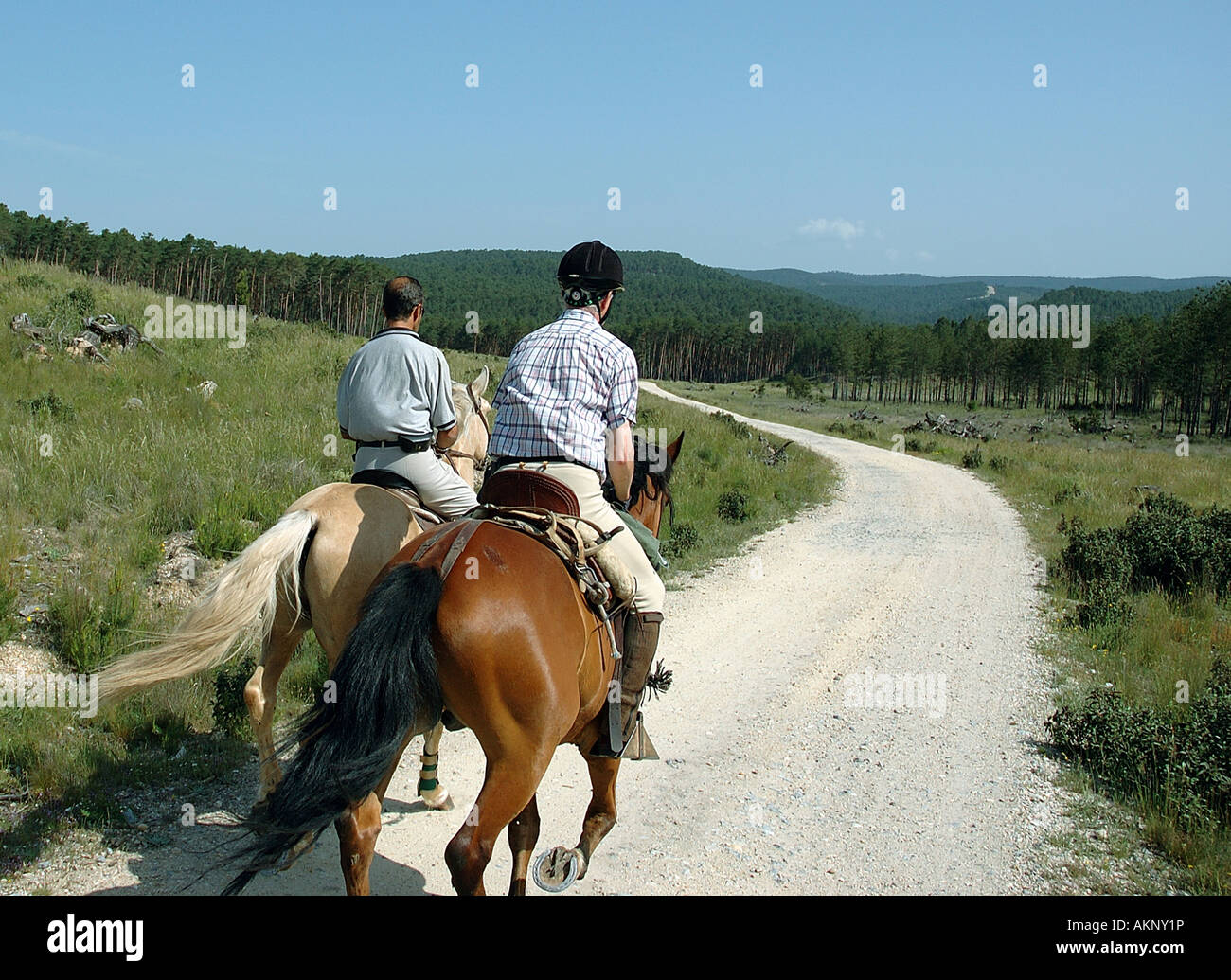 Horse-riding in Spain Stock Photo - Alamy