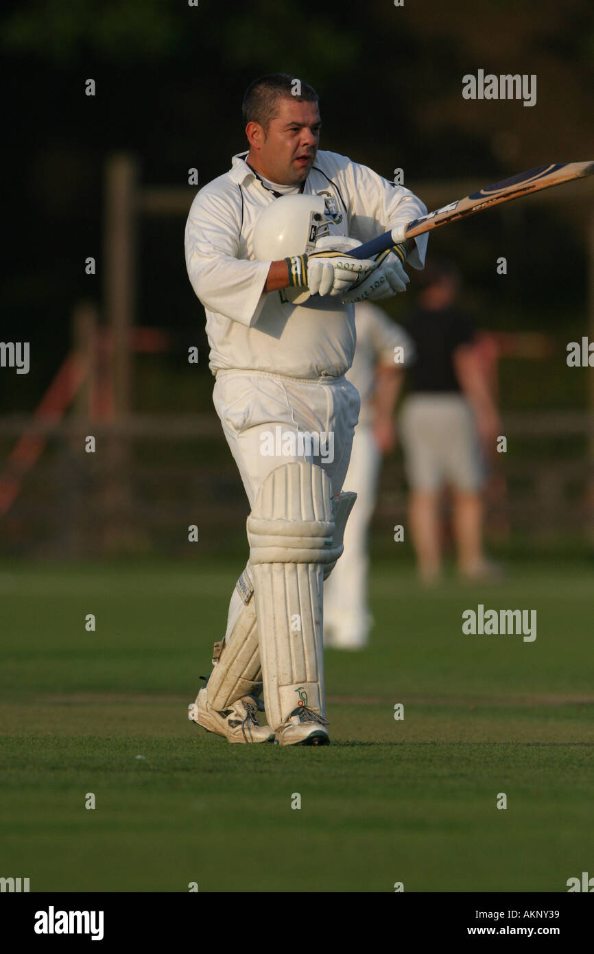 Cricket batsman out hi-res stock photography and images - Alamy