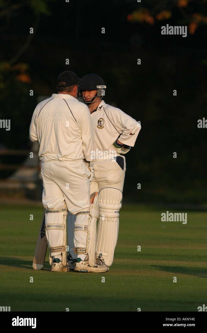 Cricket tactics hi-res stock photography and images - Alamy