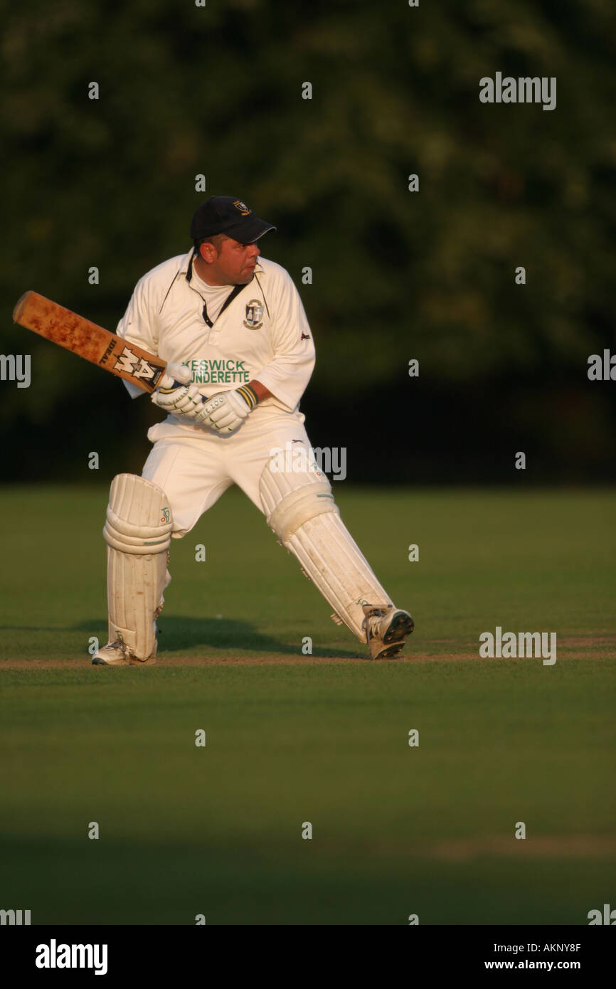 Ball hitting stumps hi-res stock photography and images - Alamy