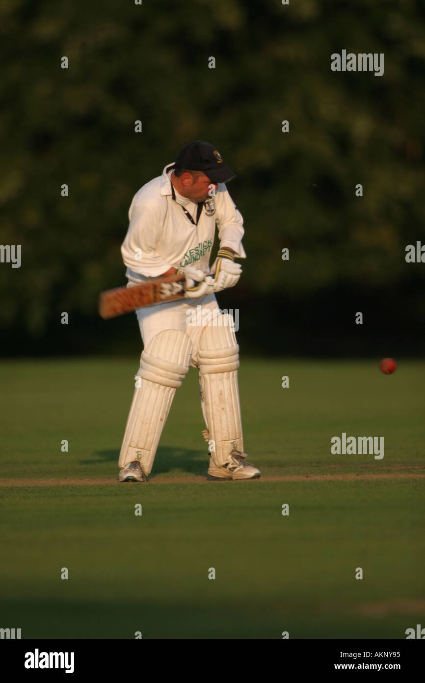 Ball hitting stumps hi-res stock photography and images - Alamy