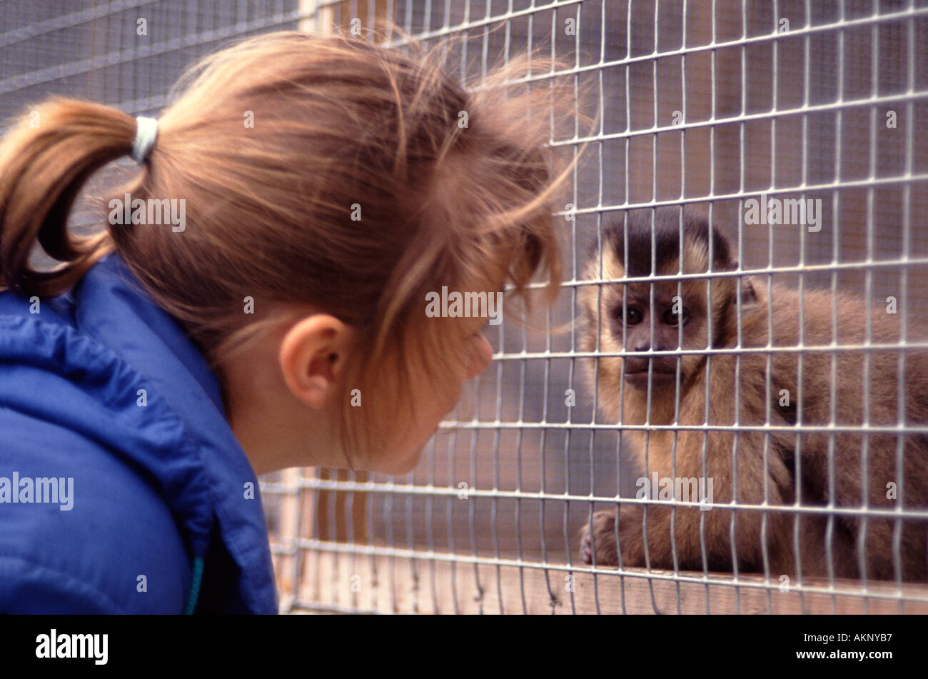 Girl zoo monkey hi-res stock photography and images - Alamy