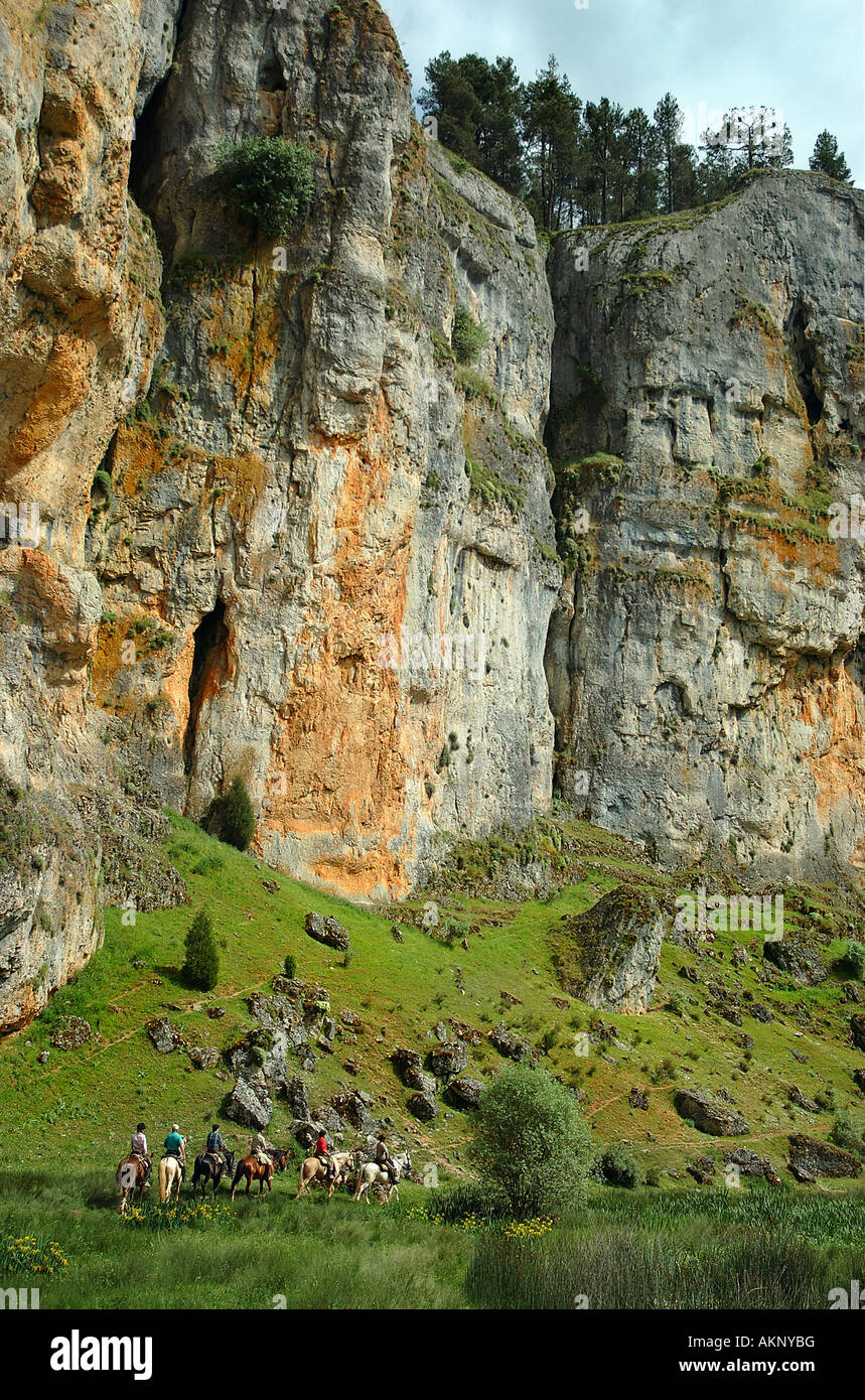 Lobo del rio hi-res stock photography and images - Alamy