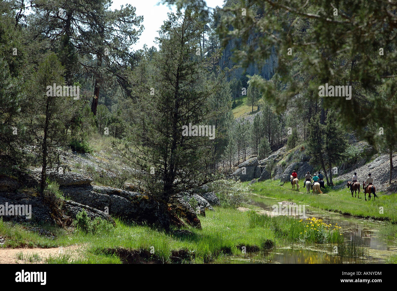 Canyon del Rio Lobo Wolf River Stock Photo - Alamy