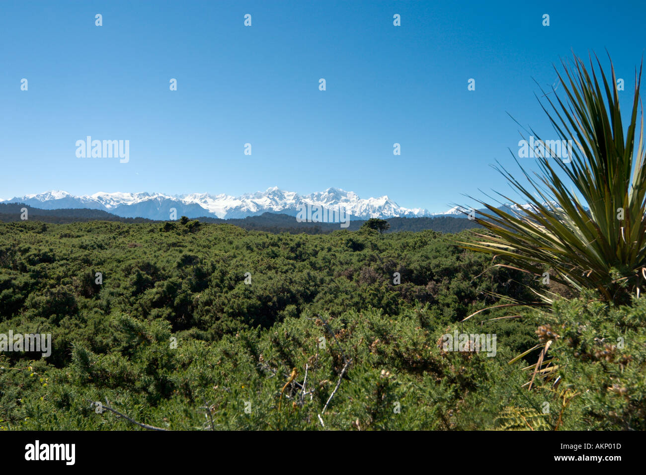 Mount Cook, Mount Tasman and the Southern Alps from Gillespies Beach ...