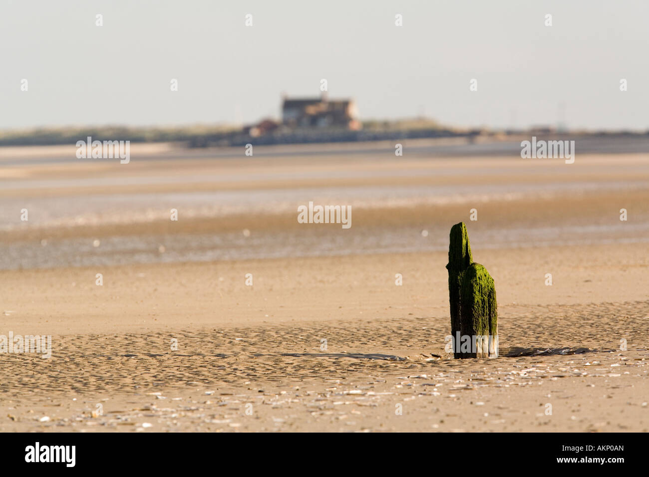 Groyne on Beach Stock Photo - Alamy