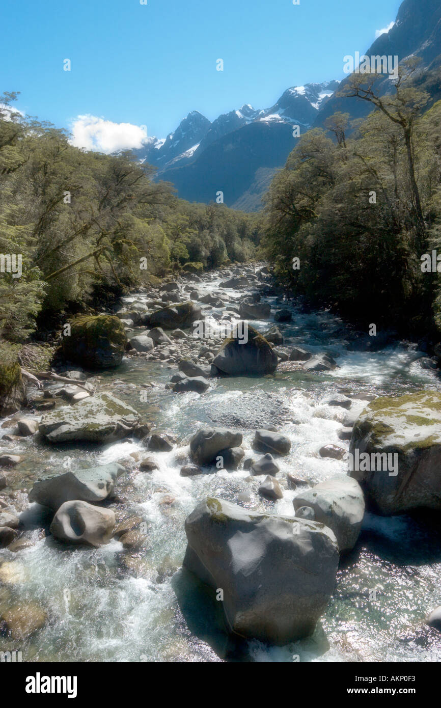 Soft Focus shot of the River Topuni in the Tutoko Topuni area, Milford ...