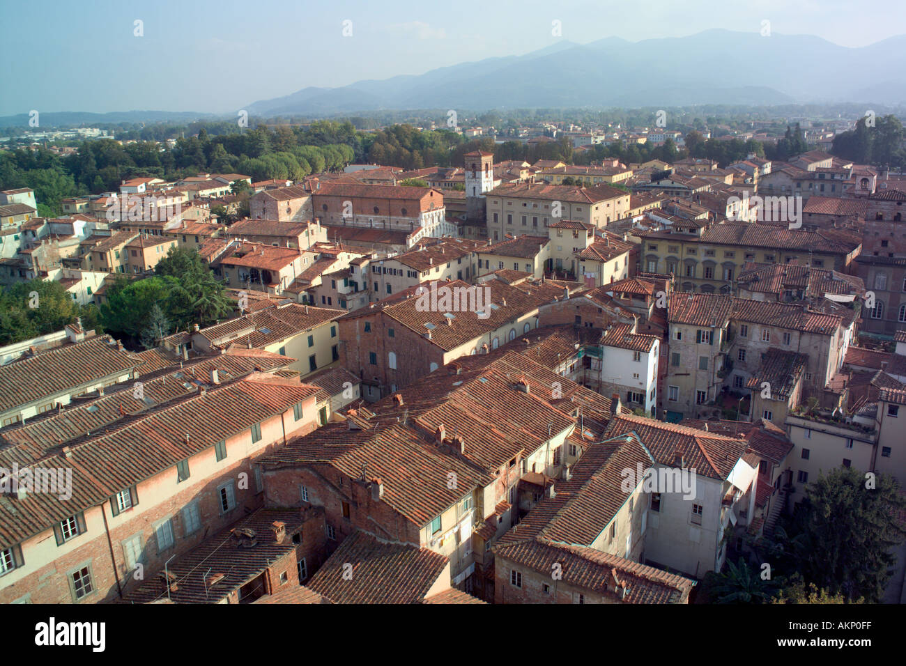 Lucca Tuscany Italy Beautiful ancient walled city a view from the Torre ...