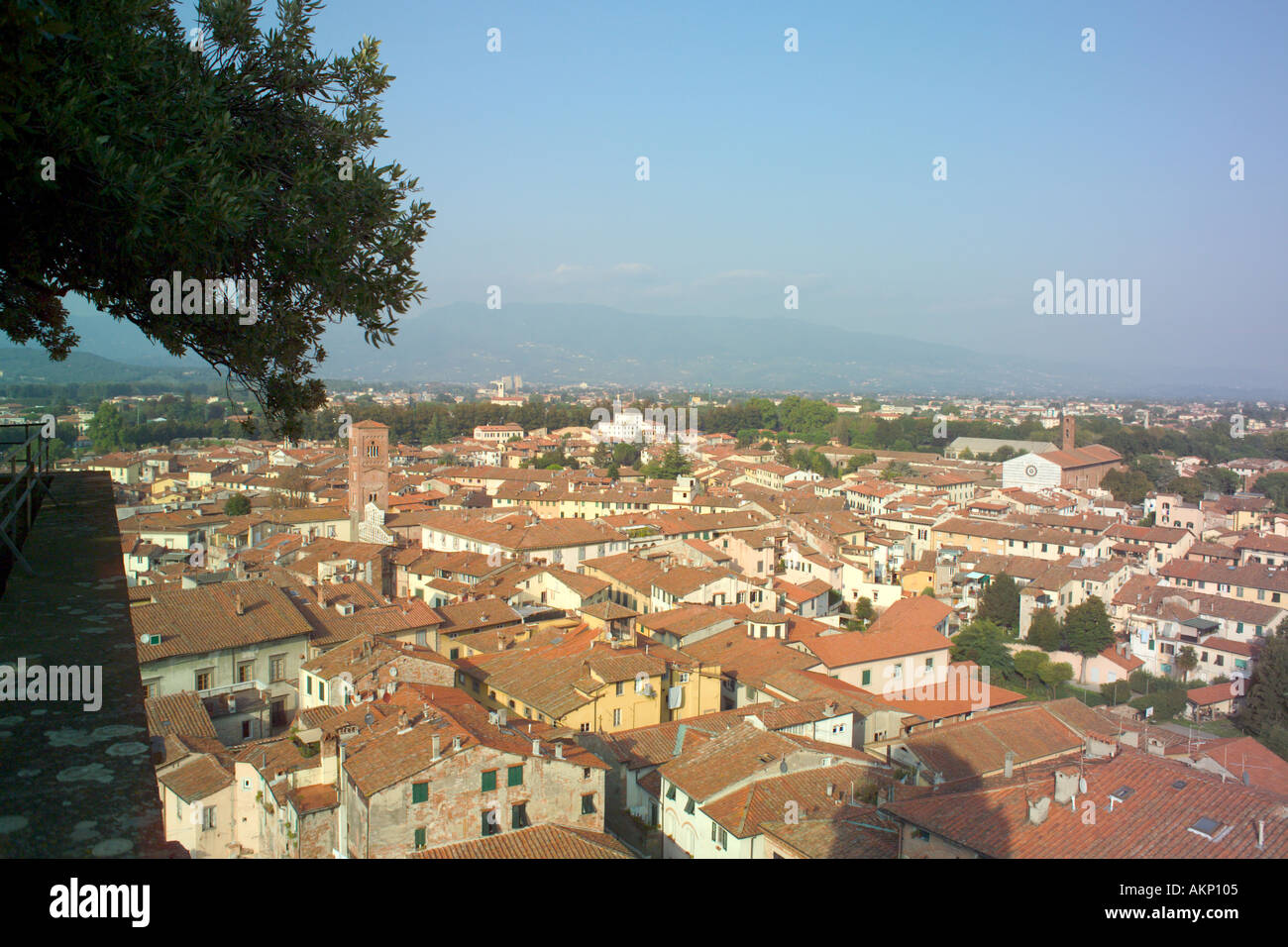 Lucca Tuscany Italy Beautiful ancient walled city a view from the Torre ...