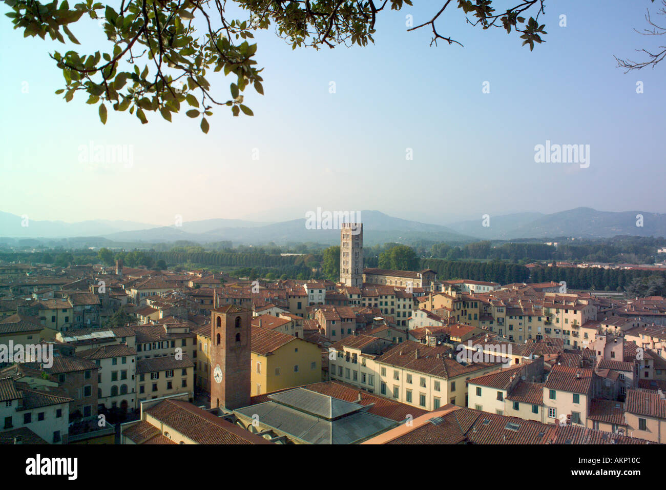 Lucca Tuscany Italy Beautiful ancient walled city a view from the Torre ...
