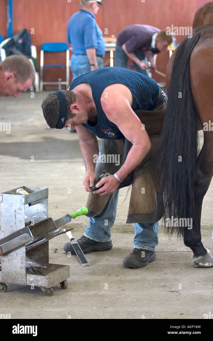 Professional farrier on show hi-res stock photography and images - Alamy