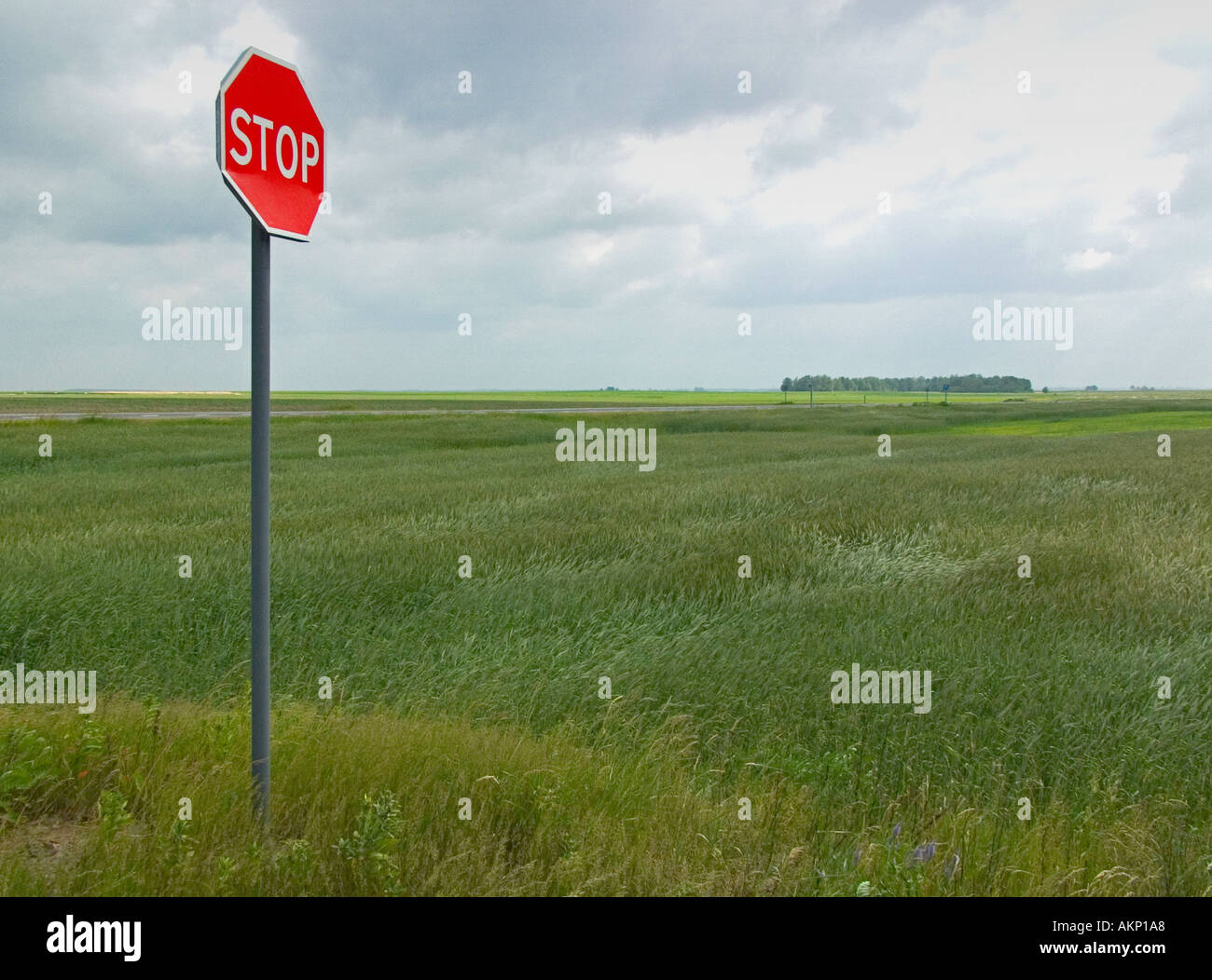Stop sign russian hi-res stock photography and images - Alamy