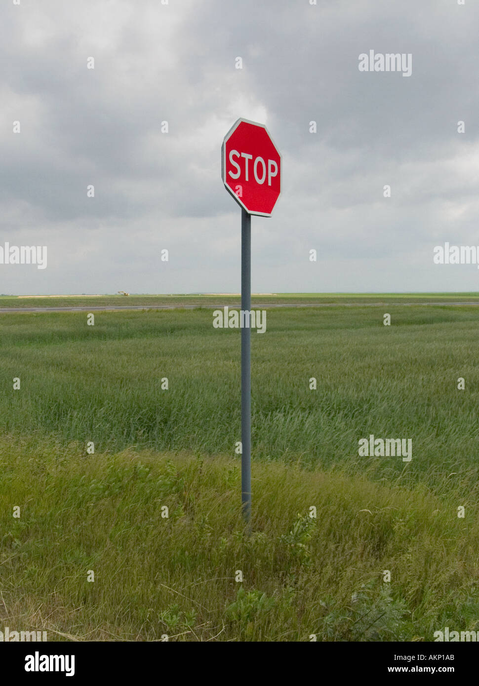 Stop sign in green fields with road visible in rear Stock Photo - Alamy