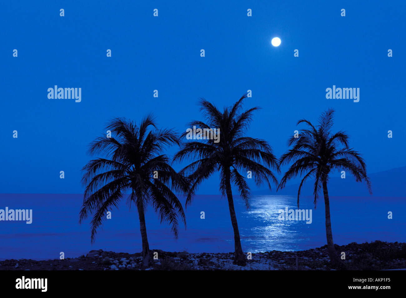 Maui moonlight hi-res stock photography and images - Alamy