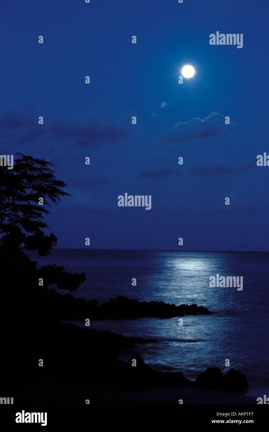 Maui moonlight hi-res stock photography and images - Alamy