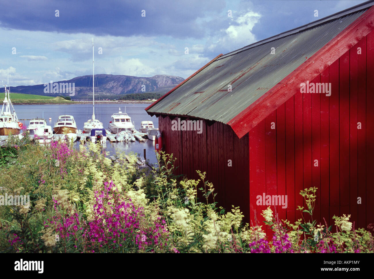 trondheim region mid norway summer colourful shack by sea summer ...