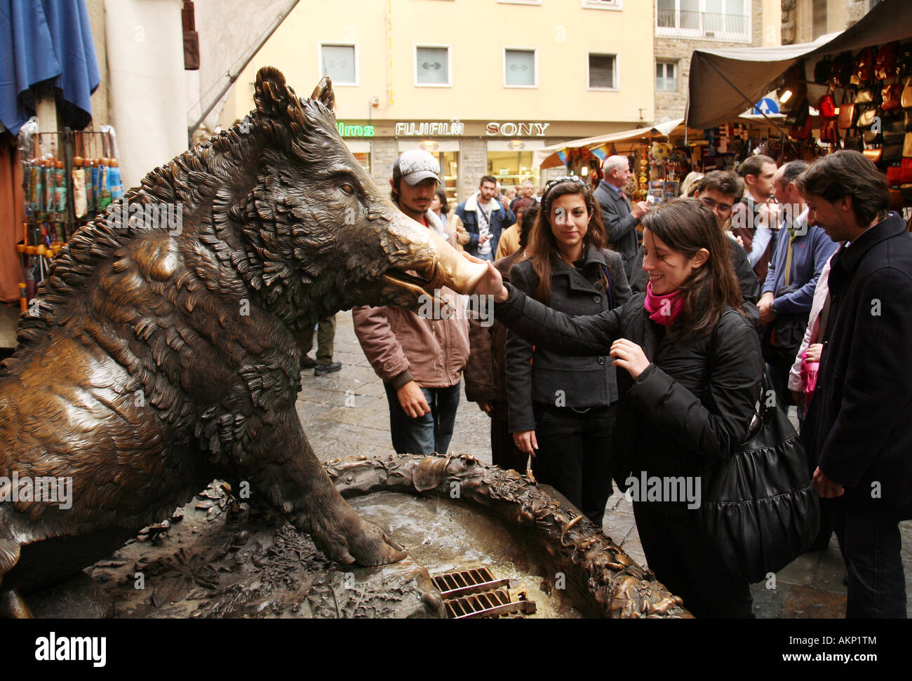 Tourists in Florence stroke the nose of the boar statue Stock Photo - Alamy